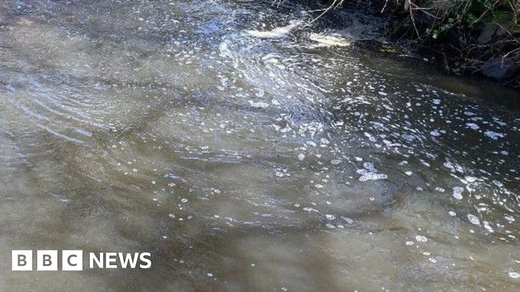 Tredington farmer fined over slurry pollution in River Swilgate