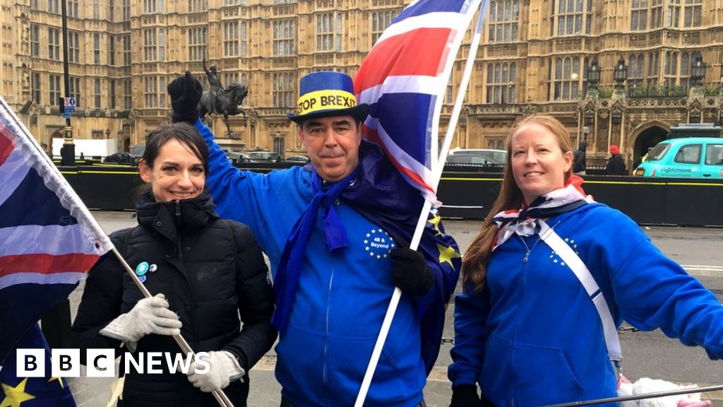 Political protests: Who are the Stop Brexit campaigners? - BBC News