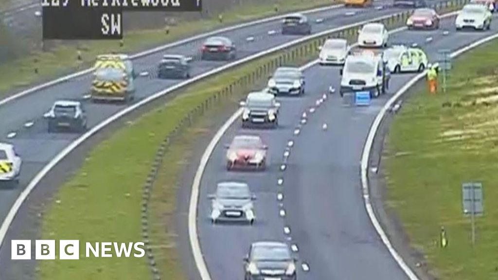 Horses die after being struck by car on A77 in Ayrshire - BBC News