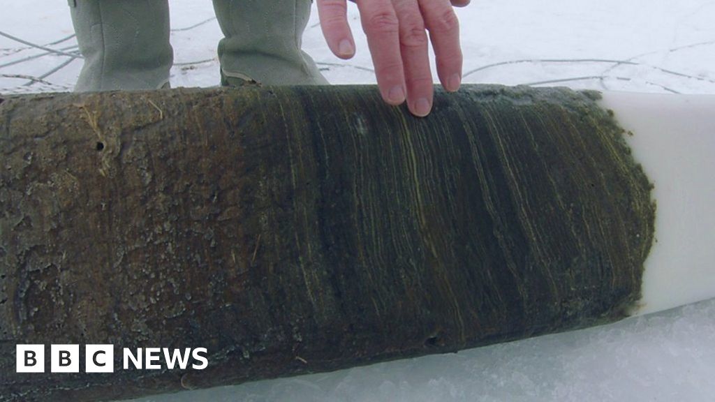 See the Canadian mud that records the Anthropocene - BBC News