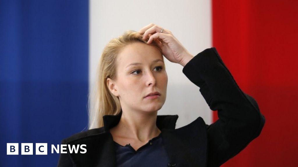 Marion Marechal-Le Pen and France's far-right charm offensive - BBC News