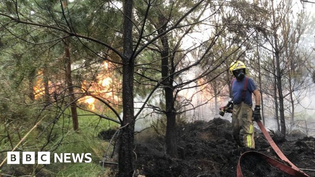 Ringwood Forest fire sends smoke and ash over towns - BBC News
