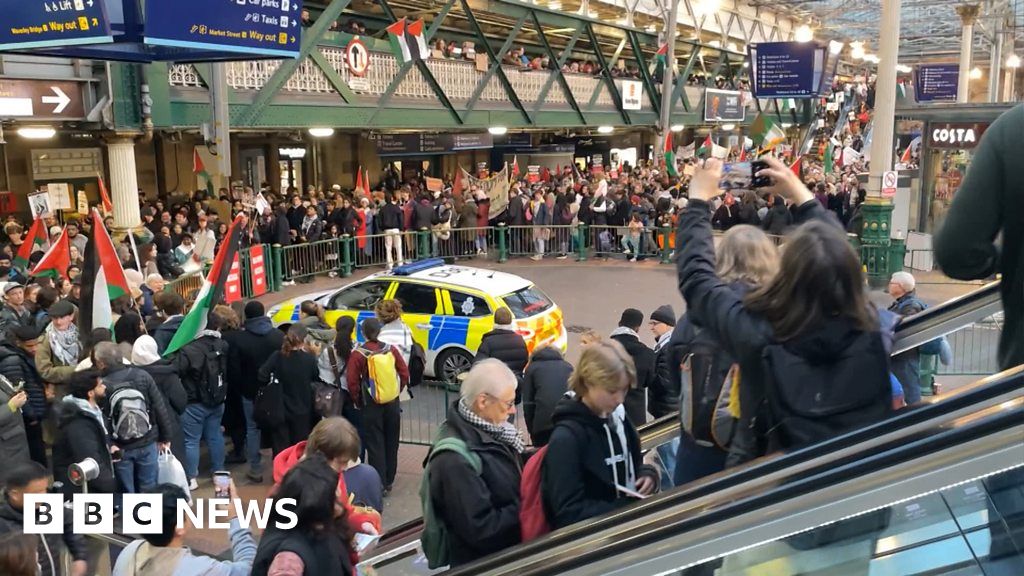 Pro-Palestinian protesters occupy railway stations - BBC News