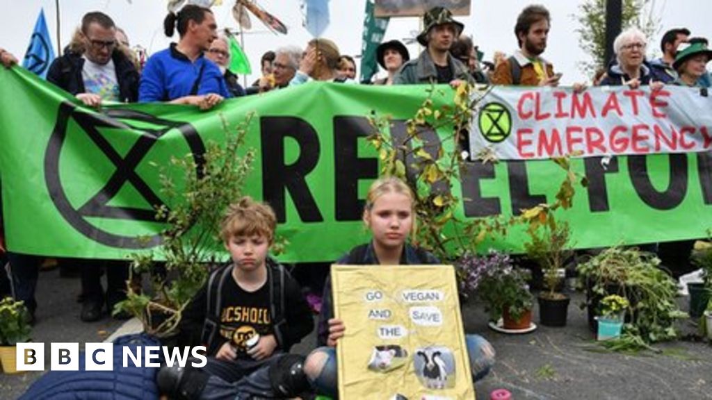 Extinction Rebellion: What do they want and is it realistic? - BBC News