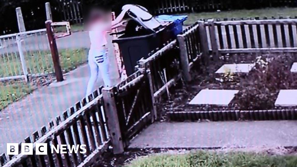 CCTV footage shows cat being dumped in bin by girl in Hull