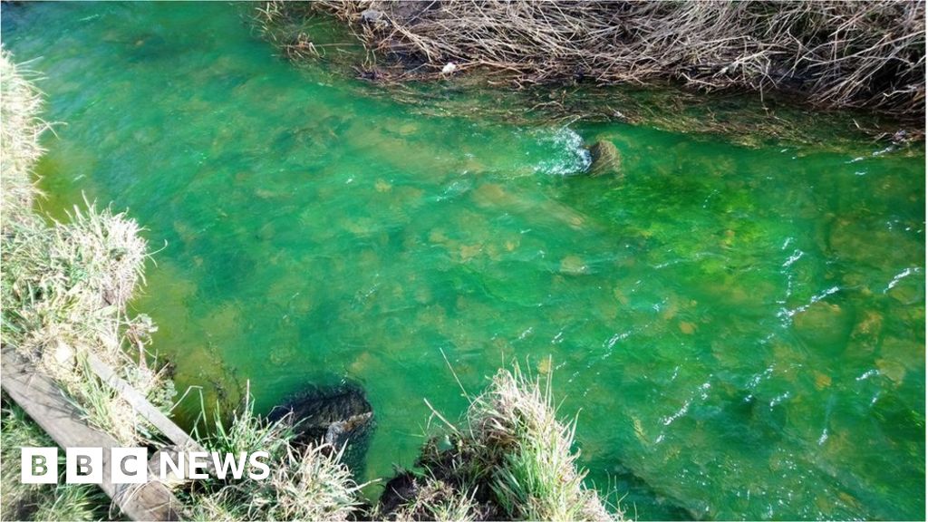 Luminous green river mystery solved in Edinburgh - BBC News