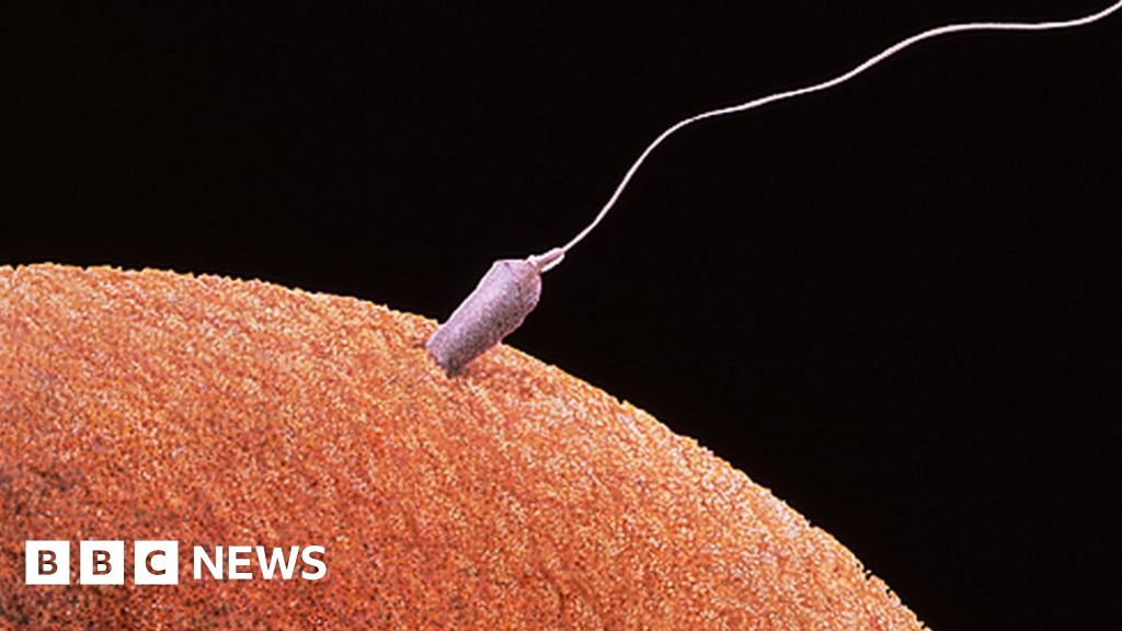 'Natural' fertilisation device for IVF - BBC News