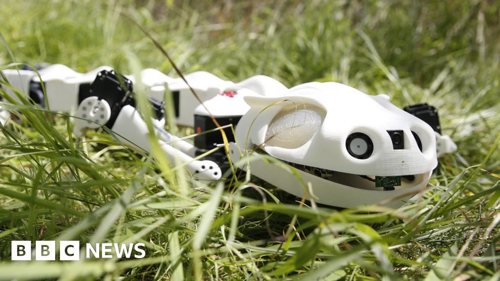 Robot salamander can walk and swim - BBC News
