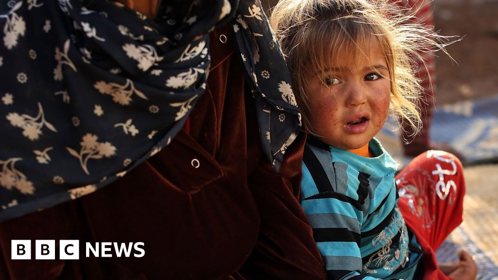 Aleppo: Syrian woman in Abergele said 'the world left us' - BBC News