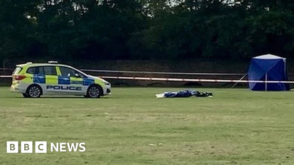 Twickenham teenager stabbed to death on playing field - BBC News