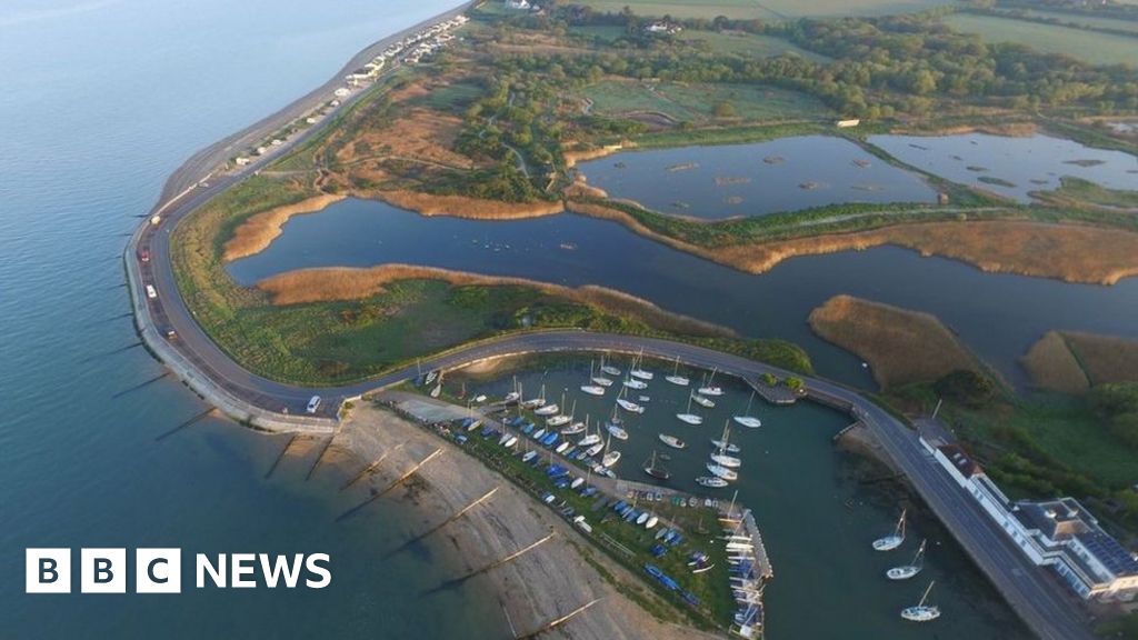 Titchfield Haven: Council plans to shut and sell nature reserve's ...