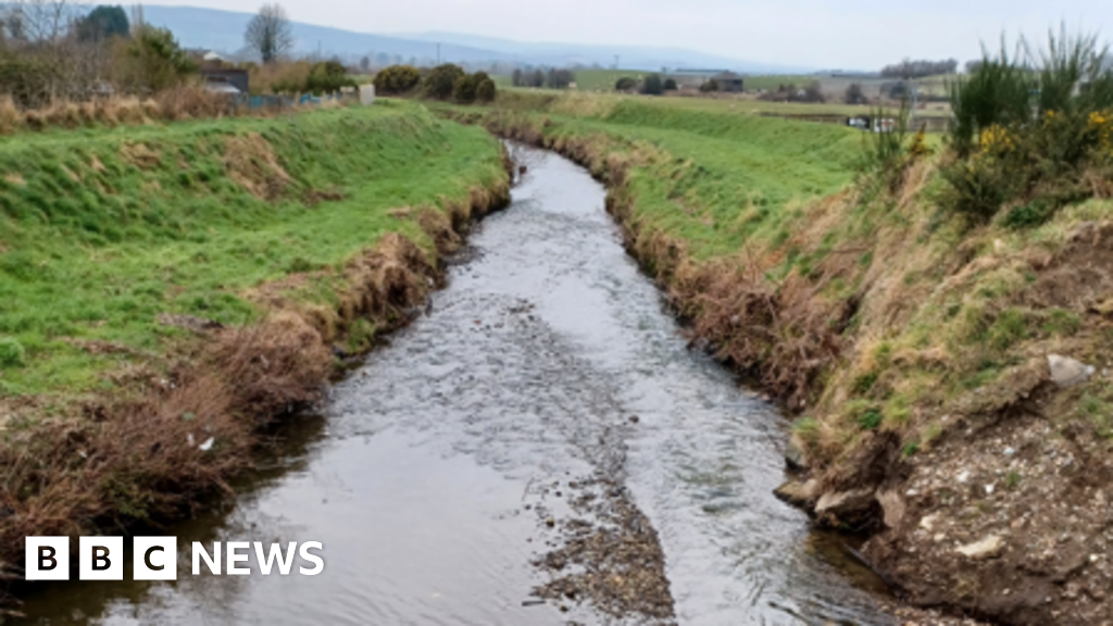Artigarvan: More than 4,000 fish killed in pollution incident
