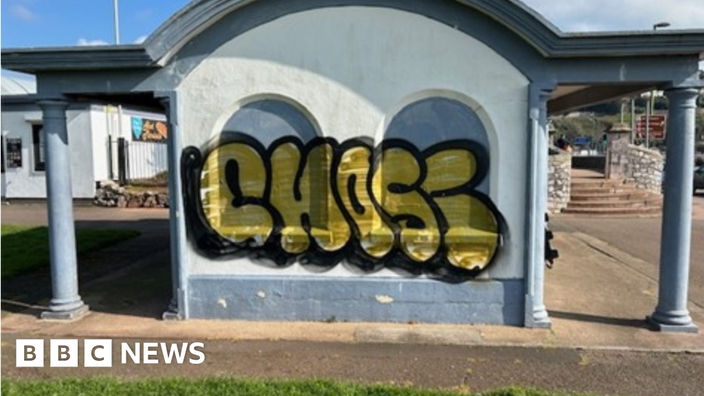 Police appeal after 'mindless' graffiti attacks in Torbay - BBC News