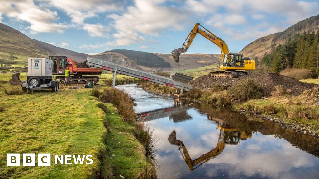 Conwy project to restore river and wildlife in valley - BBC News