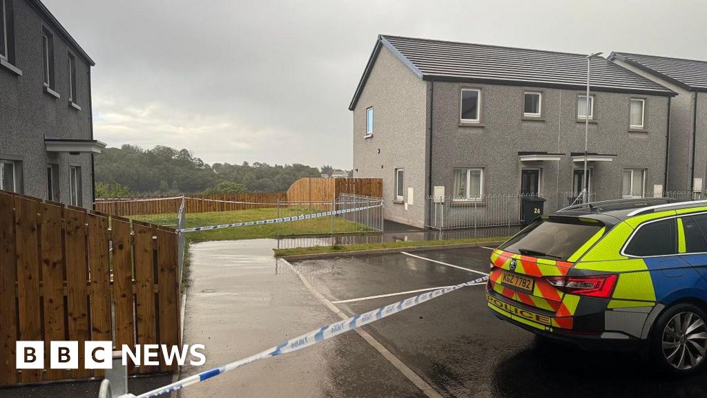 Dungannon: Woman stabbed in head with screwdriver during clashes