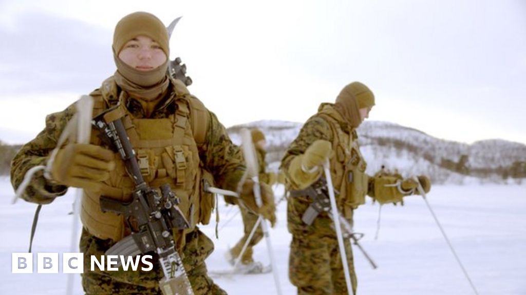 Arctic training: Fighting in the freezer - BBC News