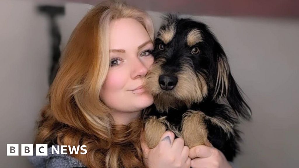 Weekly round-up: Five stories from the south you may have missed