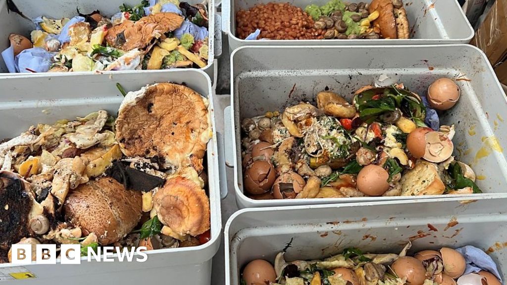 Machine takes food waste to farmland in 24 hours in Devon