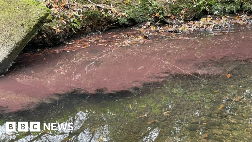 Harlow stream turned red by a soluble dye, Environment Agency finds