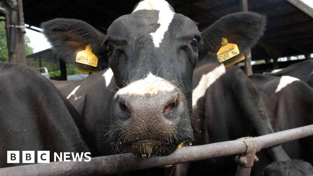 Coronavirus: More than £18m claimed in Stormont scheme for farmers