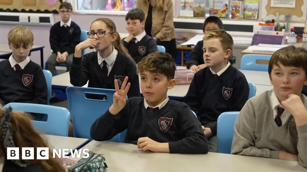 Children being taught sign language in Cumbrian primary school - BBC News