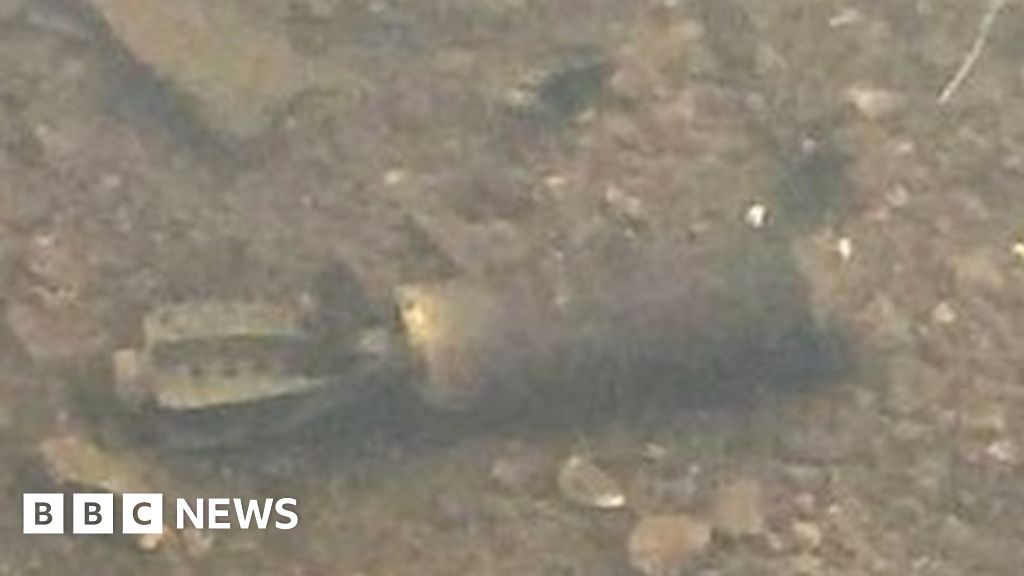 Unexploded WW2 mortar discovered in Somerset pond - BBC News