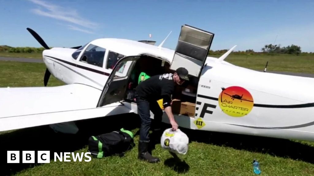 'Junk food' plane lifts spirits in quake-hit NZ town - BBC News