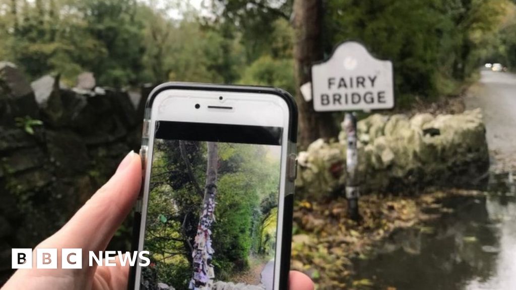 Fairy Bridge tree still standing, despite reports of felling - BBC News