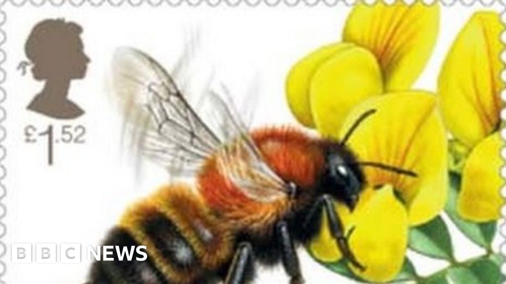 Rare Welsh bee features on new series of stamps - BBC News