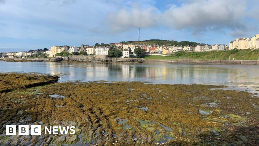 New water quality regulations proposed to 'protect Manx waterways'