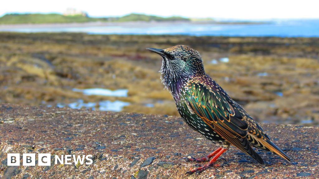 England's Big Picture: 9 - 15 October