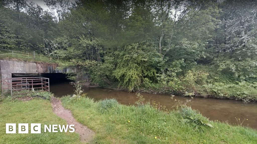 Welsh Water apologises after pollution kills fish near Wrexham - BBC News