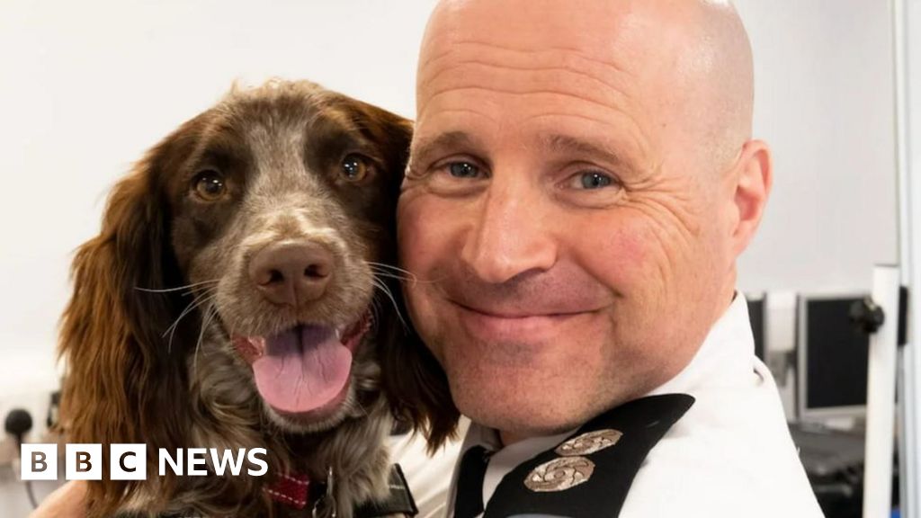 Giddy the fire dog helping probe Crooked House arson attack - BBC News