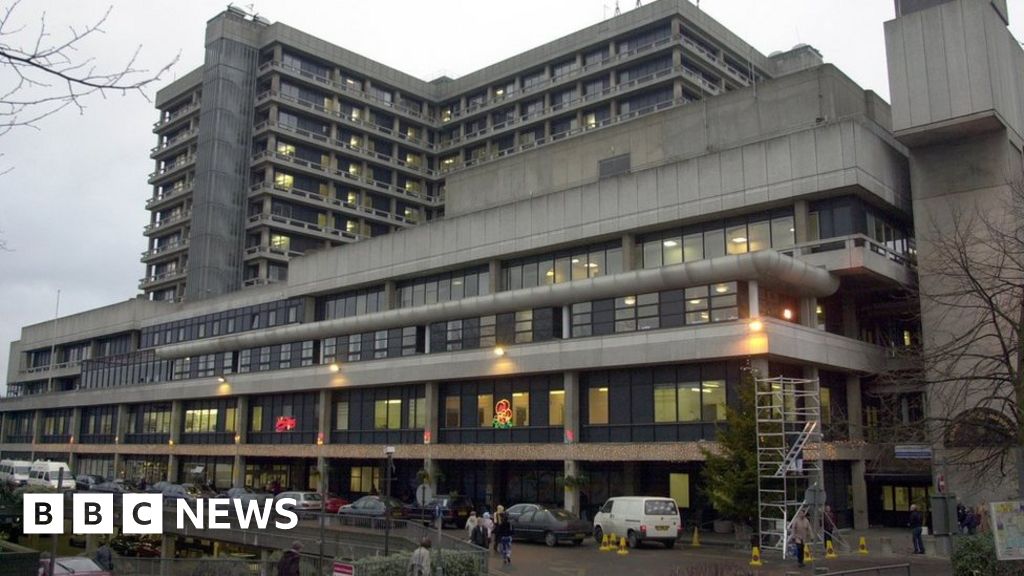 Calls to protect 'unique' maternity services in north London - BBC News