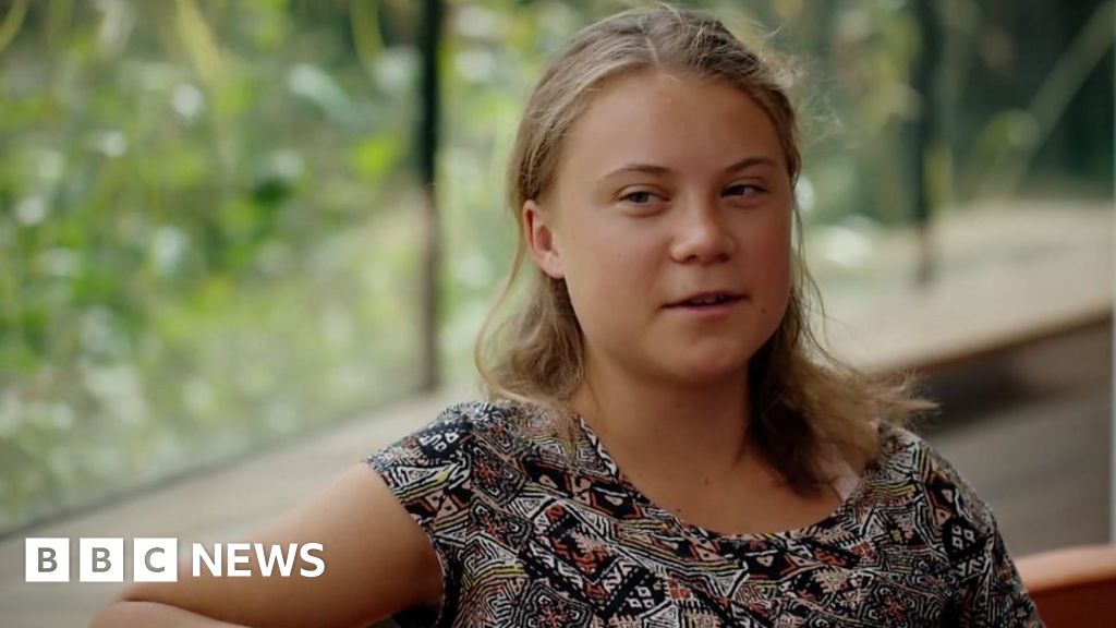 Greta Thunberg: I never intended to be face of movement