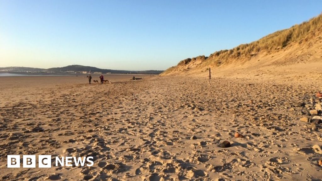 Human jaw bone found on Aberavon beach is 5,000 years old - BBC News