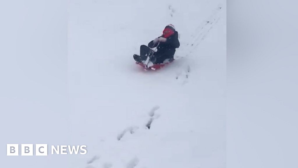 Snow: Sledges out as parts of Wales covered in white stuff - BBC News