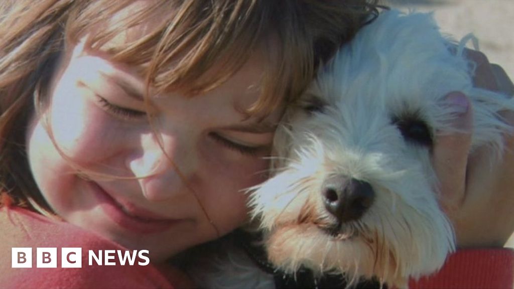 Percy Hedley investigated over closed children's homes - BBC News