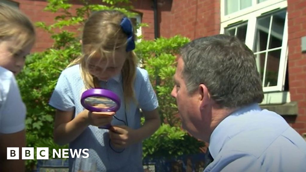 Estyn review: Pressurising schools 'only takes you so far' - BBC News