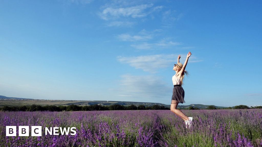 UK heatwave 2018: The winners and losers - BBC News