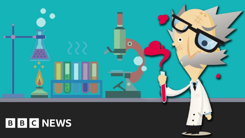 Quiz: See if you know your school science - BBC News