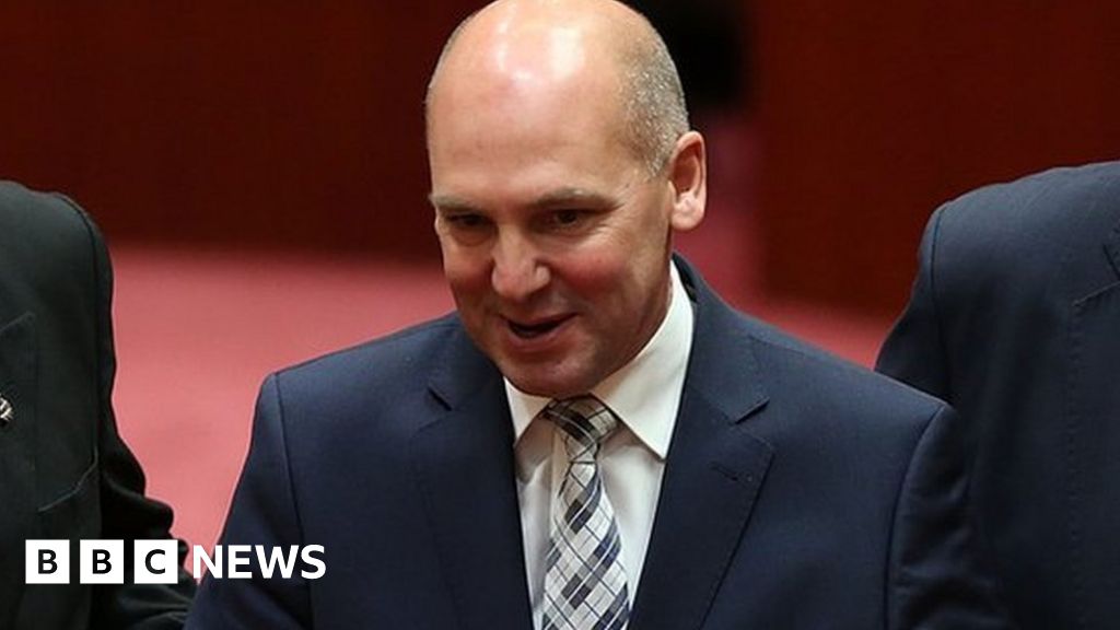 Australia Senate's Stephen Parry 'may be UK citizen' - BBC News