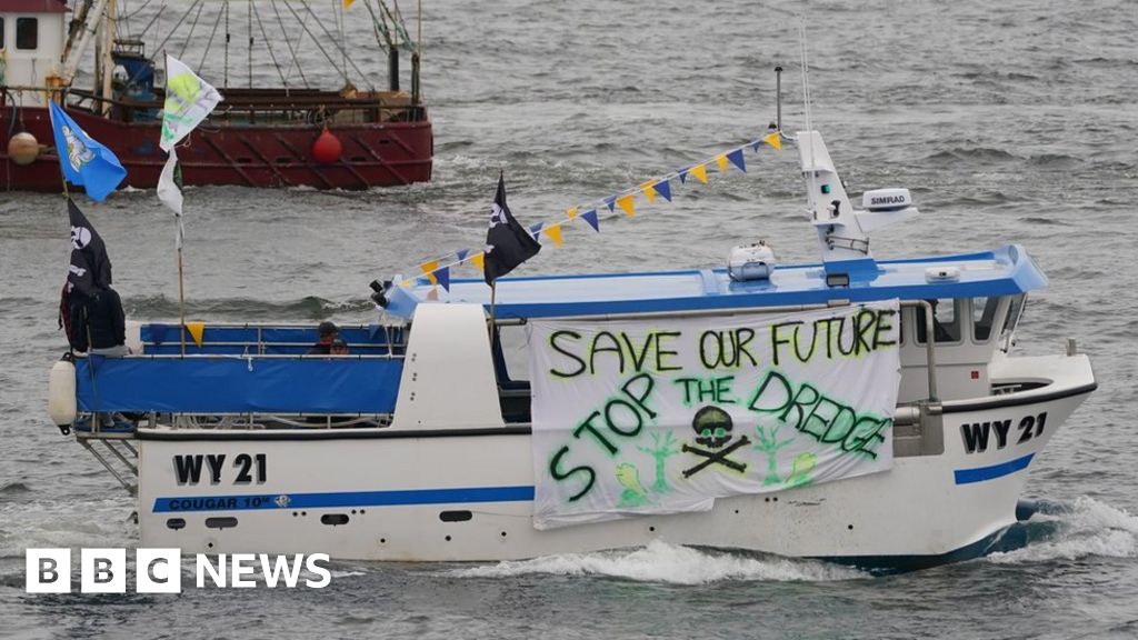 Fishing fleet protest over dead North East coast crustacean wash-ups ...