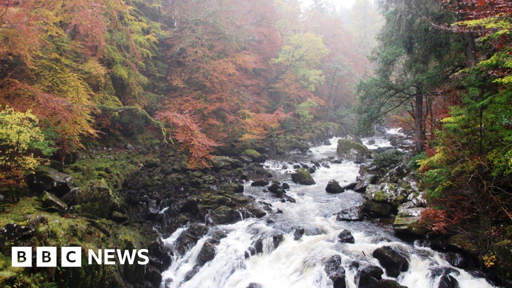 Your pictures of Scotland: 6-13 November - BBC News