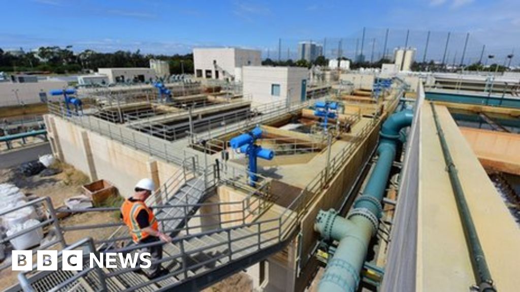 First study finds neonic pesticides in US drinking water - BBC News