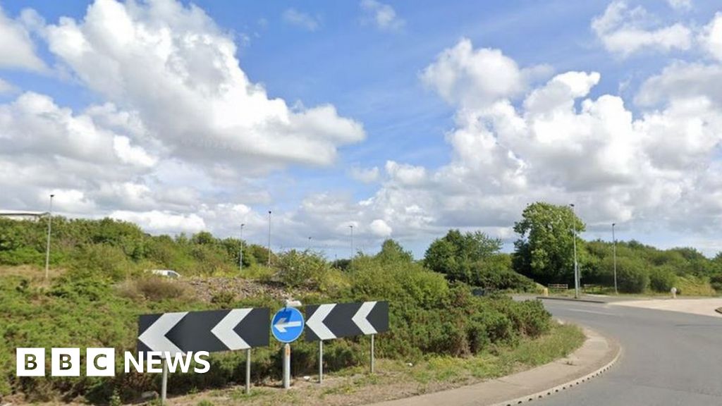 Pony killed and men injured in Dobwalls carriage crash - BBC News