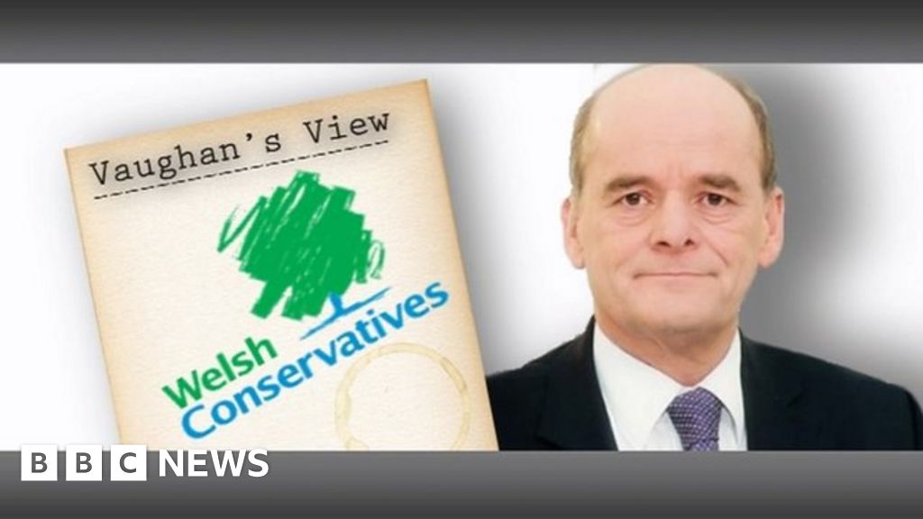 Vaughan's view on the Conservatives - BBC News