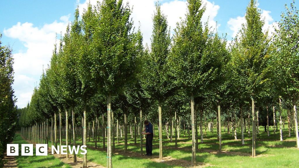 Tree demand prompts Hillier Nurseries £4m farm expansion