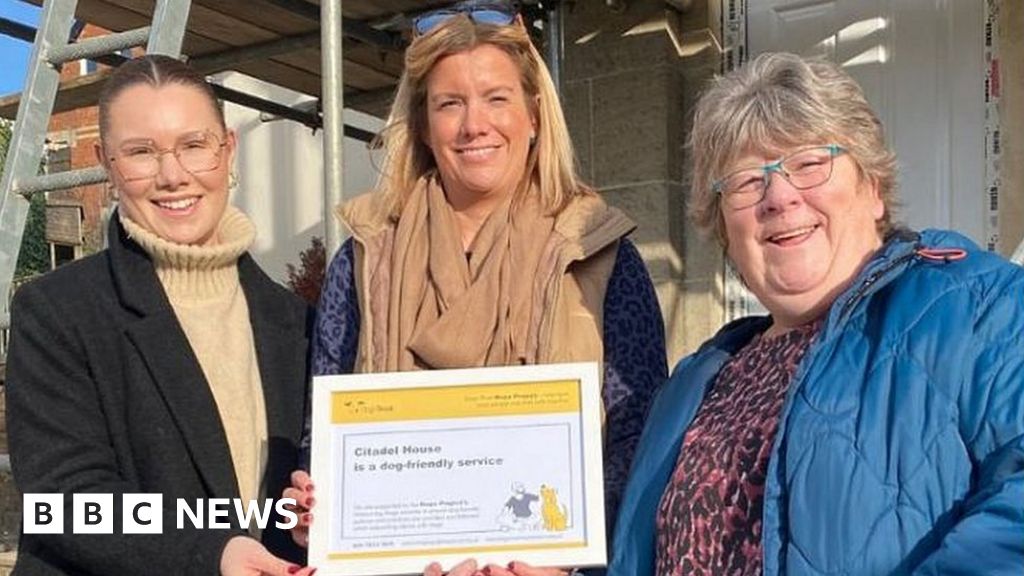 Stroud house opens for homeless people with pet dogs - BBC News