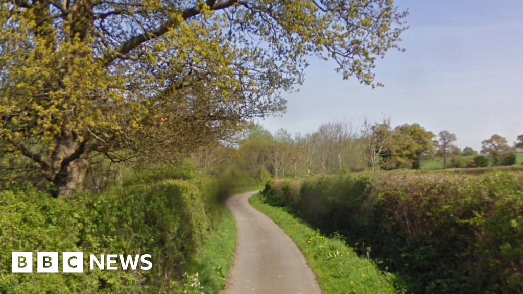 Swallowfield: Dog rescued from car stranded in water - BBC News